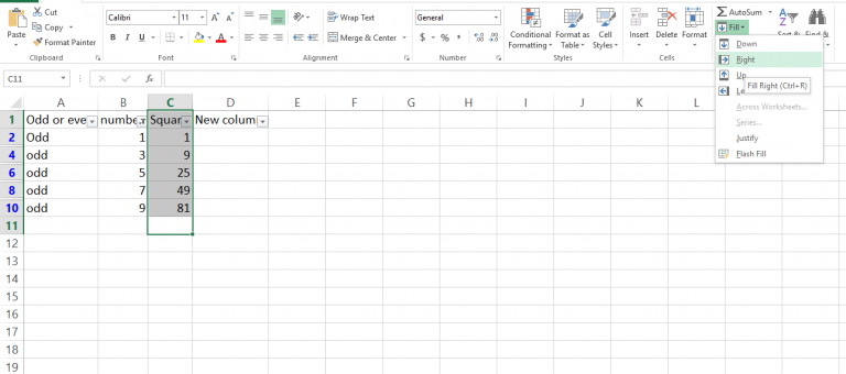 Paste Into Visible Cells only - Basic Excel Tutorial