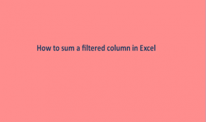 How to sum a filtered column in Excel | Basic Excel Tutorial