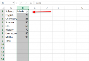 How to sum a filtered column in Excel | Basic Excel Tutorial