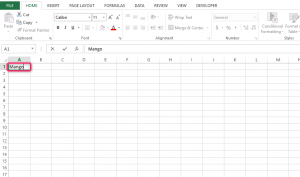 How to write multiple lines in a cell in Excel | Basic Excel Tutorial