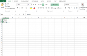 How to write multiple lines in a cell in Excel | Basic Excel Tutorial