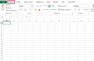 How to write multiple lines in a cell in Excel | Basic Excel Tutorial