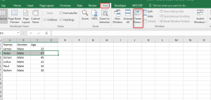How to make a row always visible in Excel | Basic Excel Tutorial
