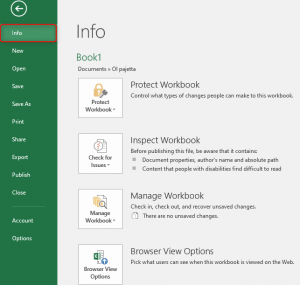 How to save Excel as a Read-only | Basic Excel Tutorial