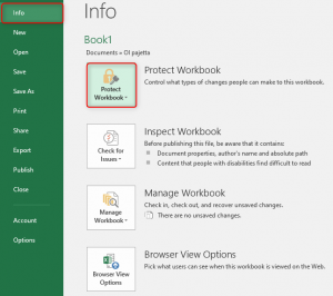 How to save Excel as a Read-only | Basic Excel Tutorial