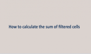 How to calculate the sum of filtered cells | Basic Excel Tutorial