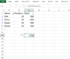 How to calculate the sum of filtered cells | Basic Excel Tutorial