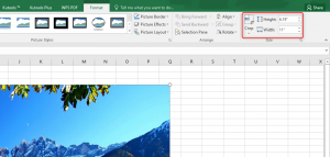 How to link a cell to a picture | Basic Excel Tutorial