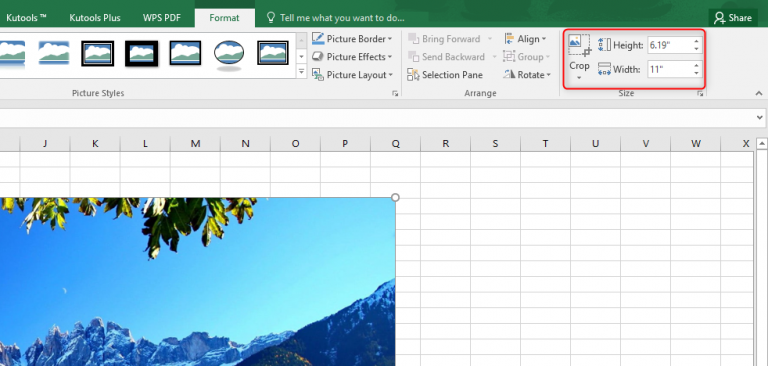 How to link a cell to a picture | Basic Excel Tutorial
