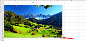 How to link a cell to a picture | Basic Excel Tutorial