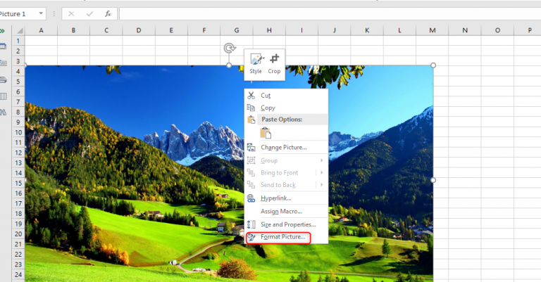How to link a cell to a picture | Basic Excel Tutorial