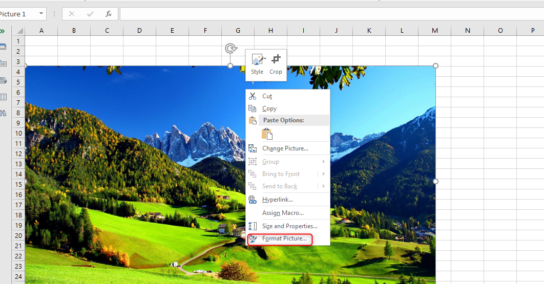 How to link a cell to a picture | Basic Excel Tutorial