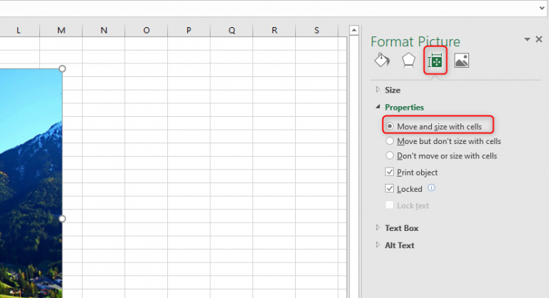 How to link a cell to a picture | Basic Excel Tutorial