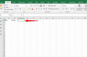 puting multiple data in one cell in excel - Complete Guide