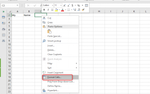 puting multiple data in one cell in excel - Complete Guide