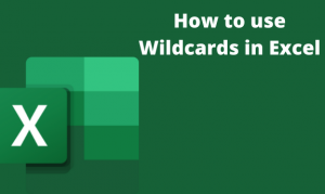 How to use wild cards in excel | Basic Excel Tutorial