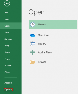 How to create a placeholder in excel | Basic Excel Tutorial