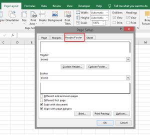 How to add a footnote in Excel | Basic Excel Tutorial