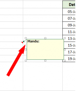 How to add a footnote in Excel | Basic Excel Tutorial