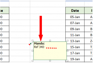 How to add a footnote in Excel | Basic Excel Tutorial