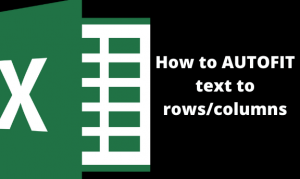 Complete Guide on AUTOFIT text to rows/columns in Excel