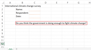 How to create an excel questionnaire | Basic Excel Tutorial