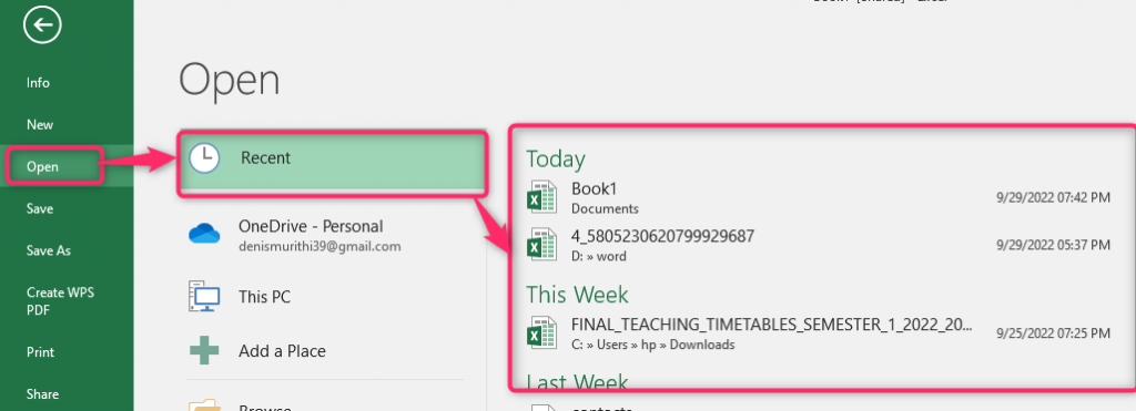 How to check Excel History | Basic Excel Tutorial